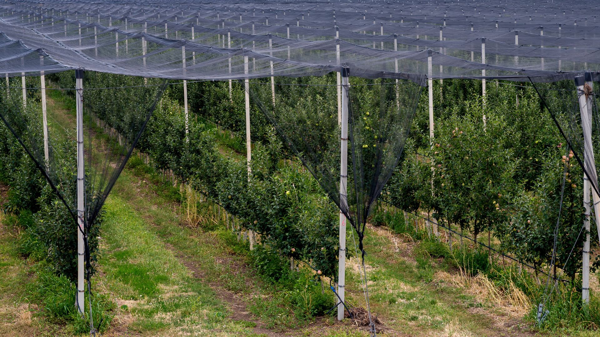 Define and understand production systems and production management in ...